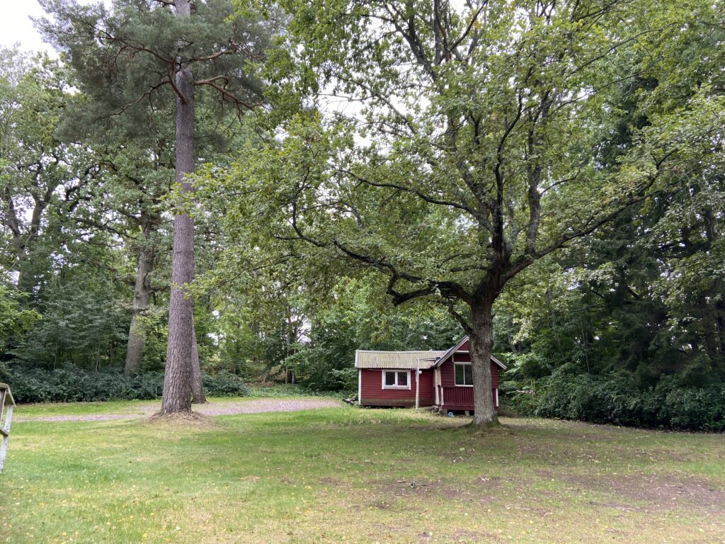 Överklagande av detaljplan för Kantarellen 5, Varamon, Motala – Motala